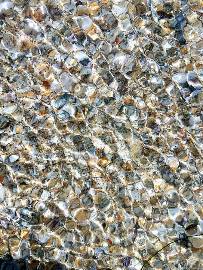 Shells under water stock photo. Image of cancun, enjoyment - 36067626