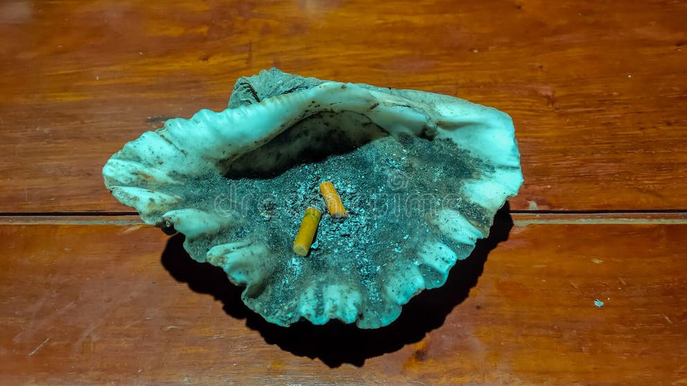 Shells are Used As Cigarette Ashtrays Stock Image - Image of flower ...