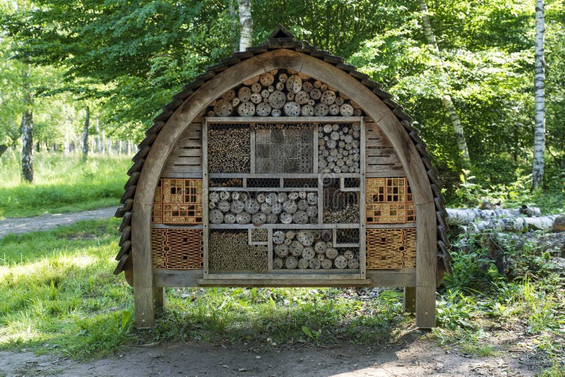 Shelter for Insect Protection Stock Photo - Image of garden, protection ...