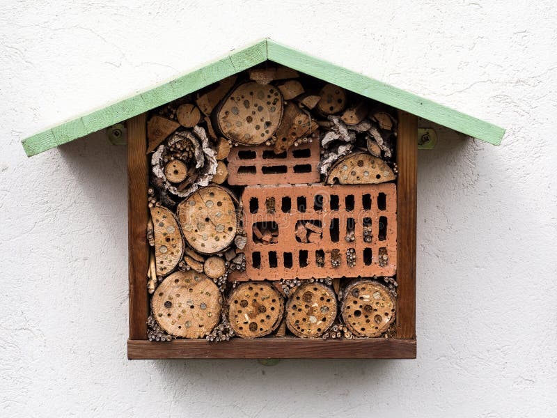 Insects shelter stock photo. Image of help, hotel, wintering - 53514784