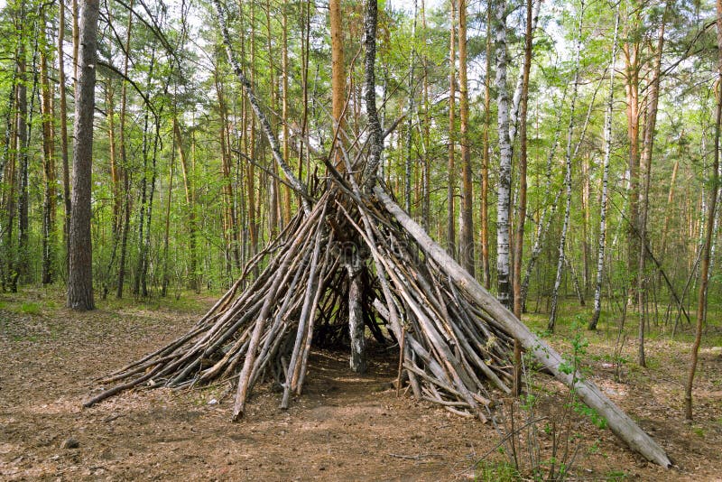 A Shelter Made of Logs in the Depths of a Thicket of Green Forest Stock ...