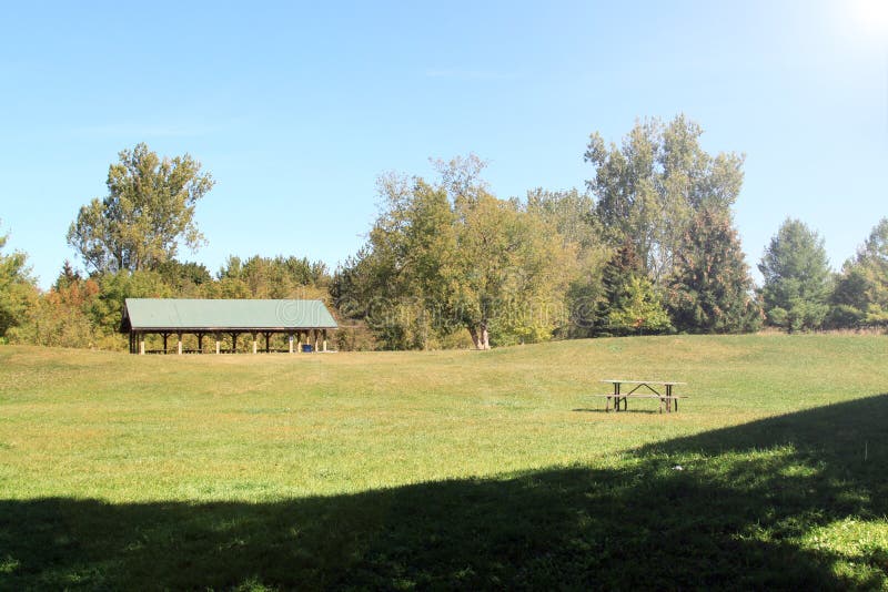 Large Grass Area with Row of Trees Stock Photo - Image of green, rural ...