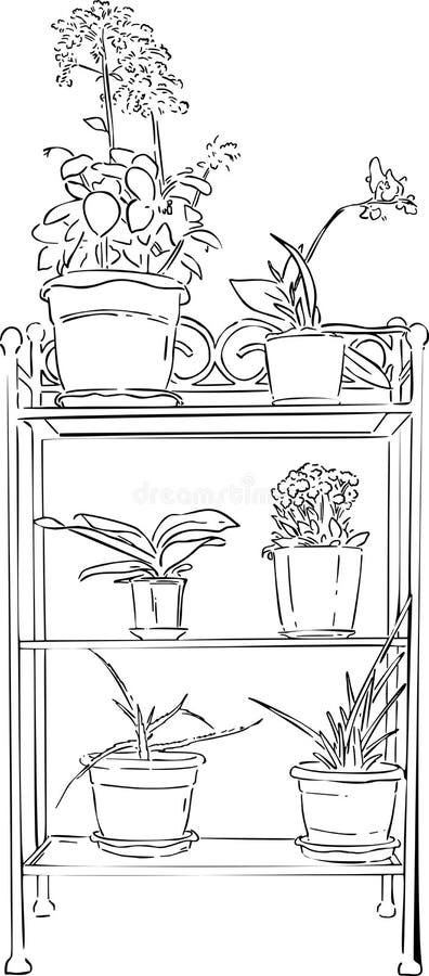Shelves, Plants, Hand Draw Vector Illustration Art Stock Vector ...