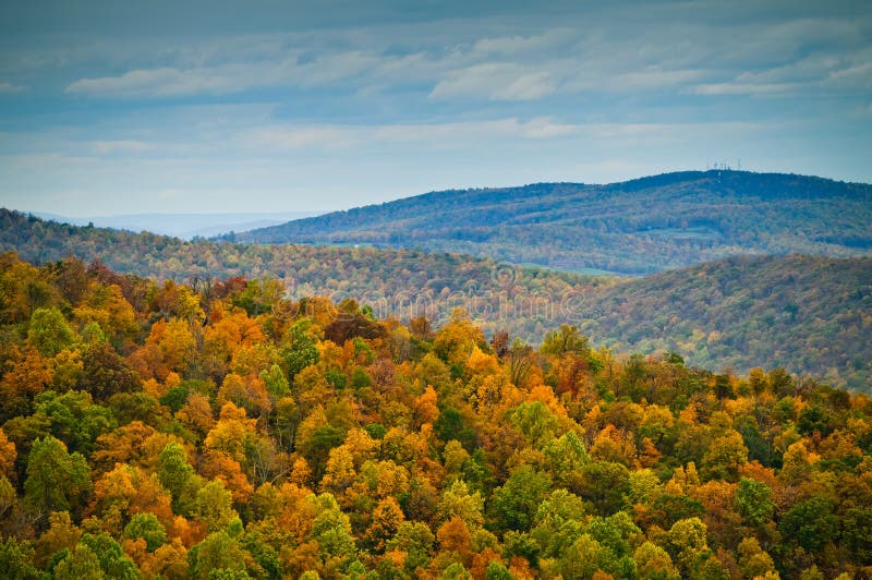 Shenandoah National Park in the Fall Stock Photo - Image of virginia ...
