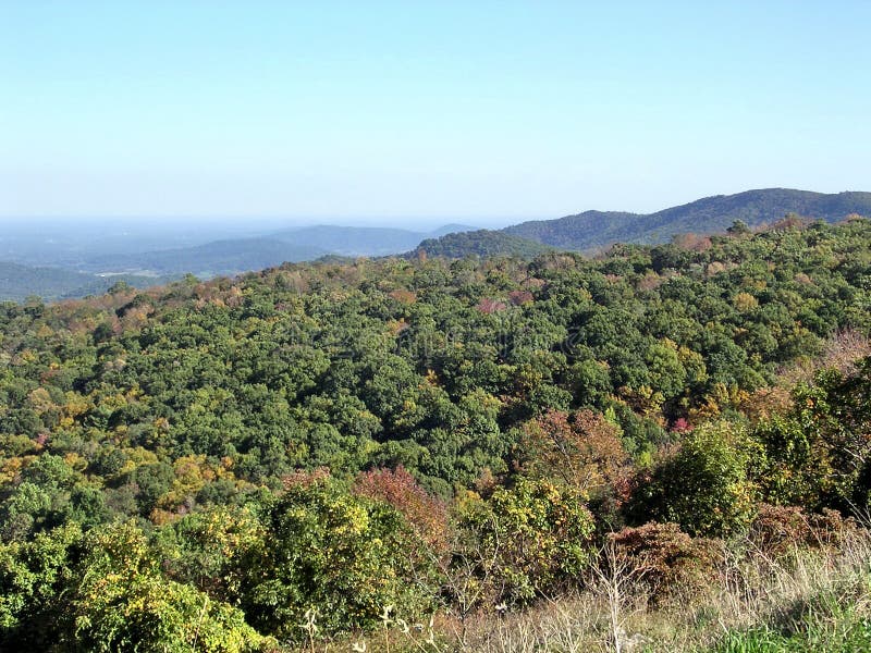 Shenandoah Park Forest October 2004 Stock Image - Image of green ...