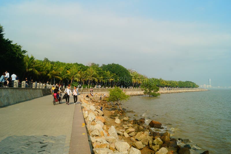 Shenzhen Bay Beach Landscape, Visitors are Playing Editorial Photo ...