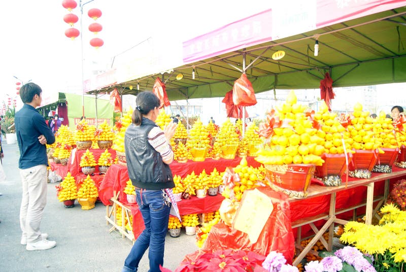 Shenzhen China: Spring Festival Flower Markets Editorial Photography ...
