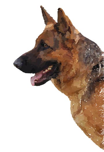 Angry German Shepherd Stock Illustrations – 179 Angry German Shepherd ...