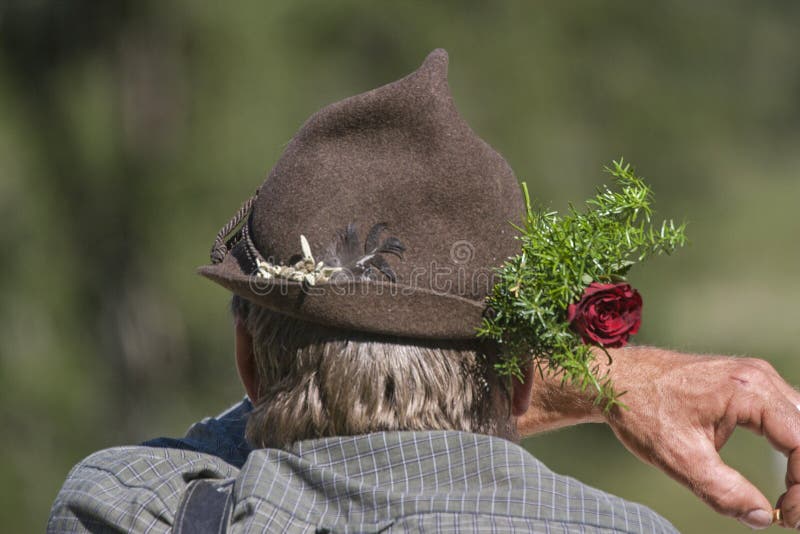 Shepherd in the Gaiss Valley in Tyrol Editorial Image - Image of senner ...