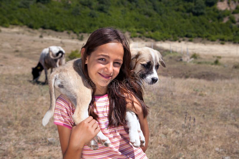 Cattle shepard girl stock photo. Image of flock, prairie - 33433730