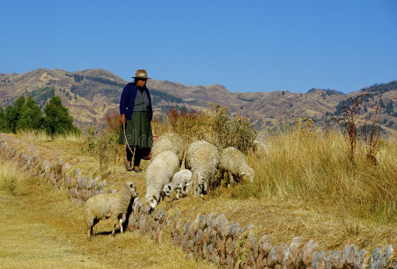Shepherdess, Peru editorial stock image. Image of traditional - 35576089