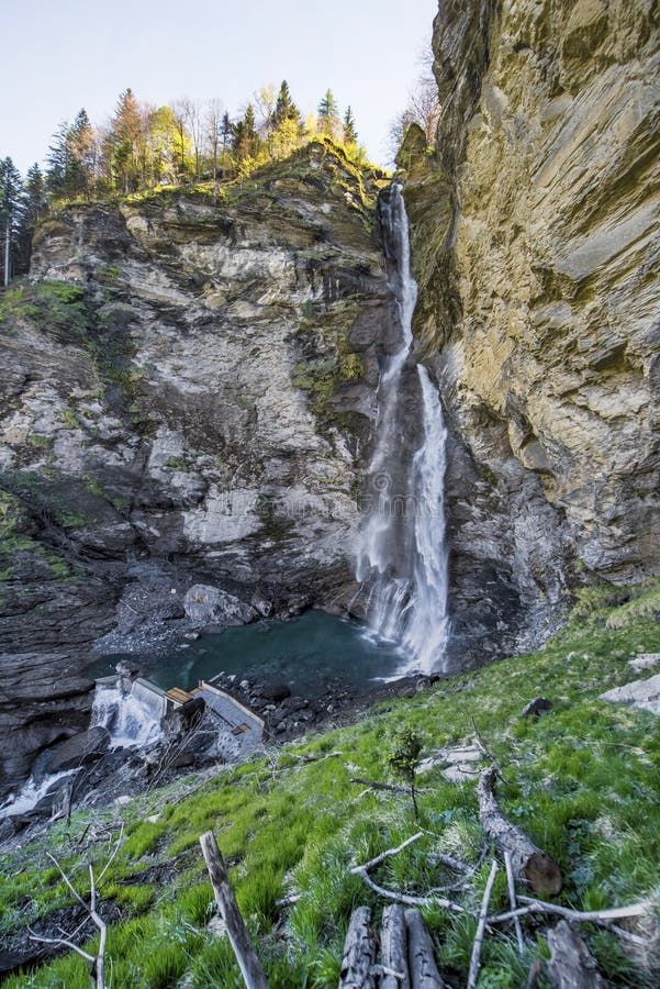 View on Reichenbach Waterfall Stock Image - Image of nature, water ...