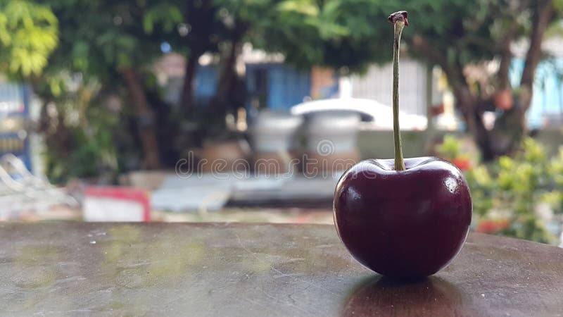 Sherry stock photo. Image of sweet, fresh, fruit, sherry - 74631088