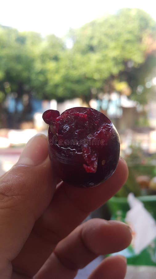 981 Sherry Fruit Stock Photos - Free & Royalty-Free Stock Photos from ...