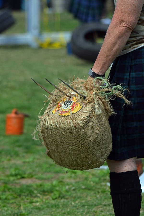 The shief stock photo. Image of kilt, farm, ready, pitchfork - 80303942