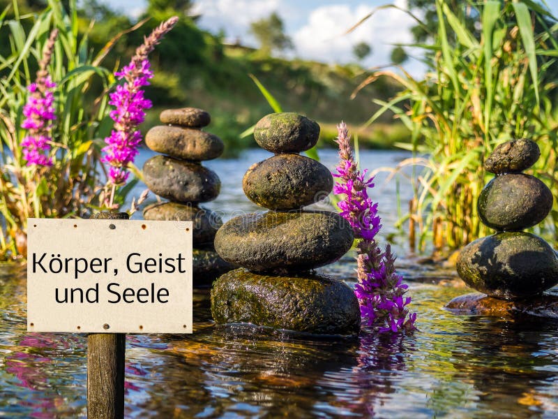 Shield Body, Mind and Soul stock photo. Image of flux - 193369062