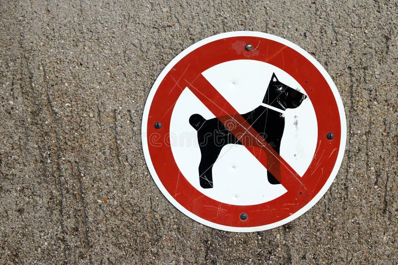 Shield Dogs Forbidden. Prohibition Sign for Dogs Stock Photo - Image of ...
