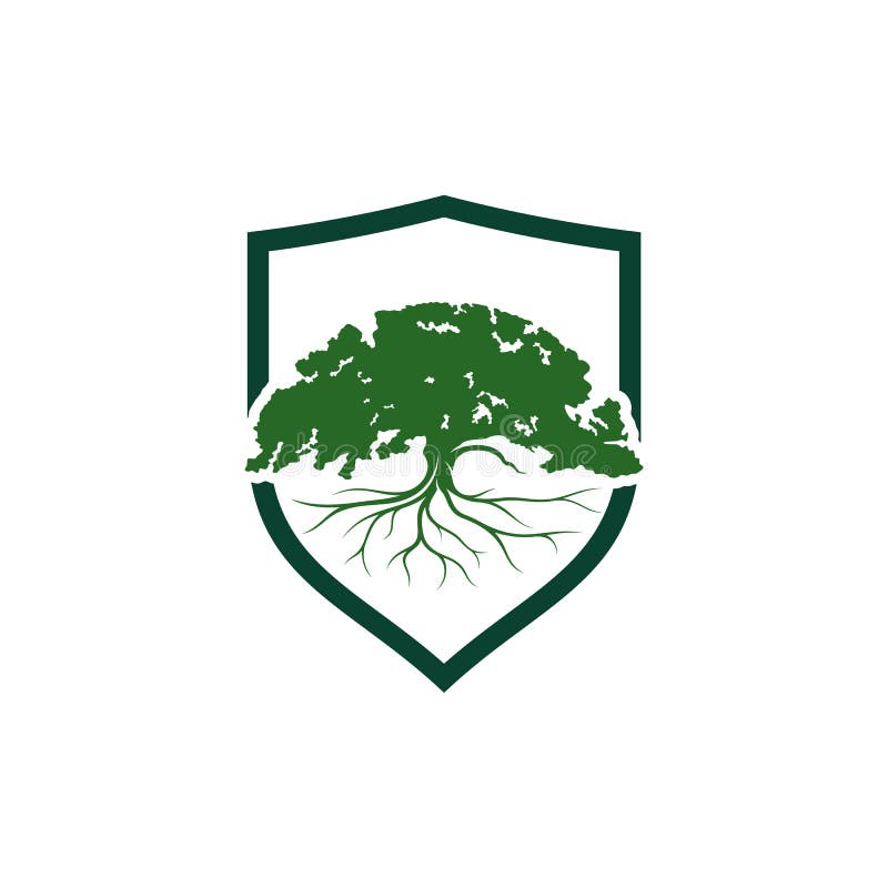 Shield Oak Leaf Logo Design Vector Illustration, Creative Oak Tree Logo ...