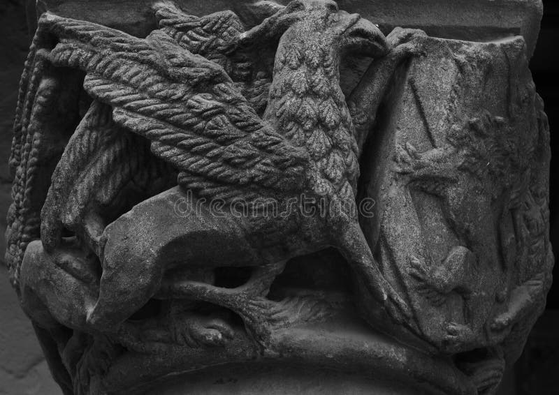 Shield protector stock photo. Image of catalunya, creature - 97426524