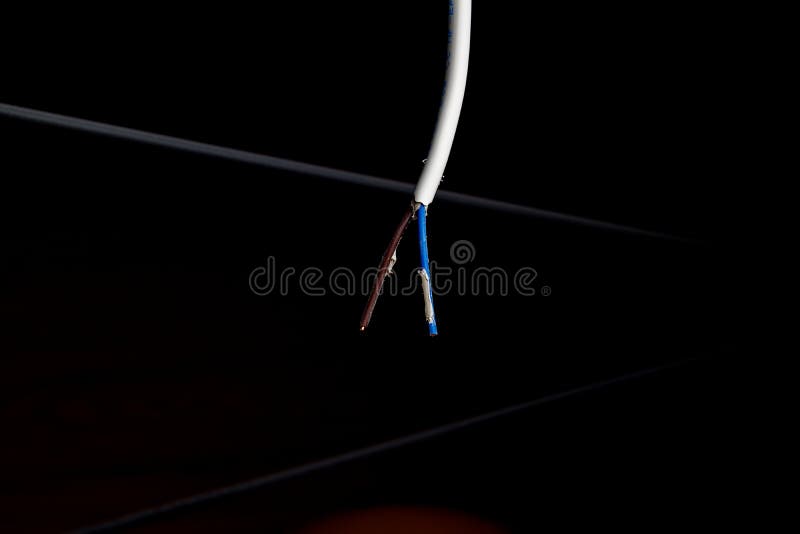 Shielded Cable Wiring, Blue and Brown Wires on a Black Background ...