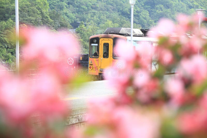 Shifen Station and Train on Pingxi Line Editorial Photo - Image of ...