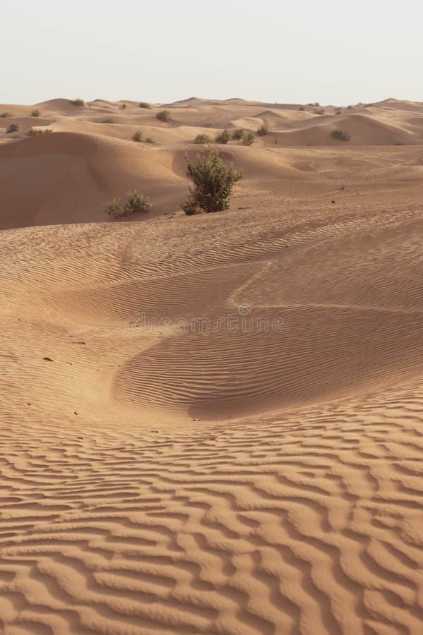 Shifting Sand Dunes in the Arabic Desert with the Sky in the Background ...