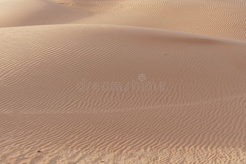 Shifting Sand Dunes in the Arabic Desert Stock Photo - Image of ...