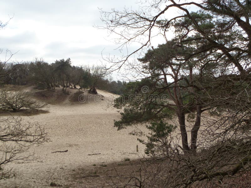 Shifting Sand Dune Contrasts. Desert or Beach Sand Textured Background ...
