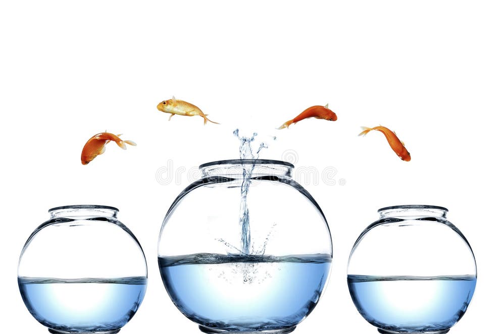 Shifting to small space stock illustration. Illustration of fish - 41601568