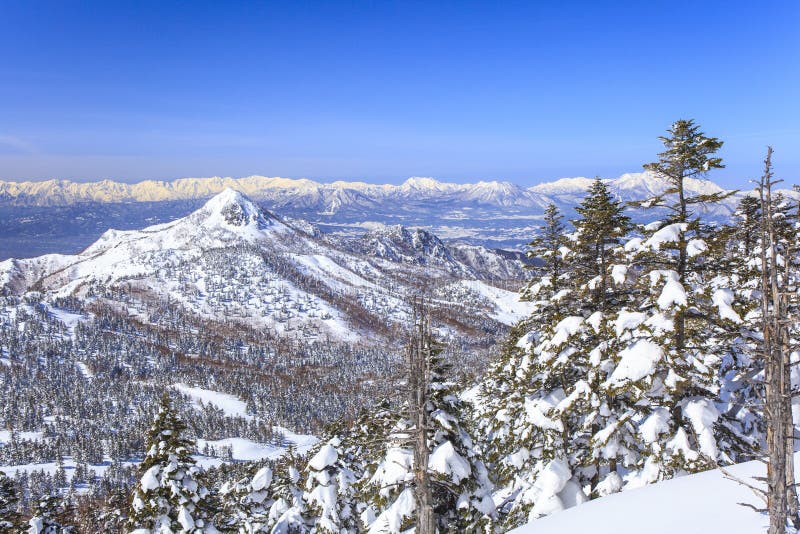 Shiga Kogen in winter stock photo. Image of sightseeing - 50879398