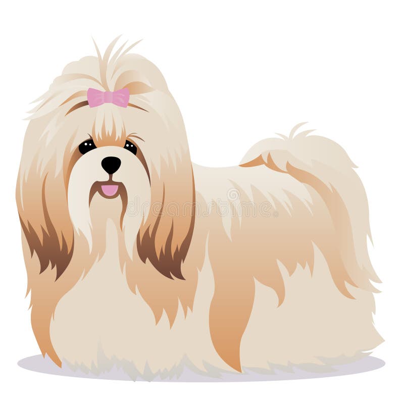 Shih Tzu dog stock vector. Illustration of cartoon, chinese - 89545933