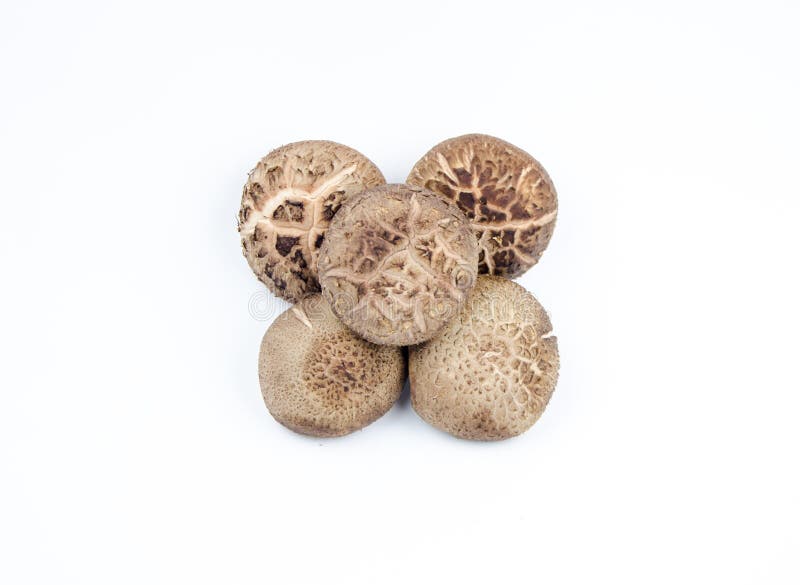Shiitake stock photo. Image of black, food, high, health - 37529036