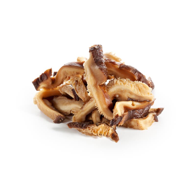 Shiitake stock photo. Image of asian, chinese, closeup - 44306400