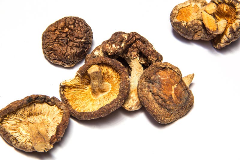 Shiitake stock image. Image of brown, tropical, natural - 74905405