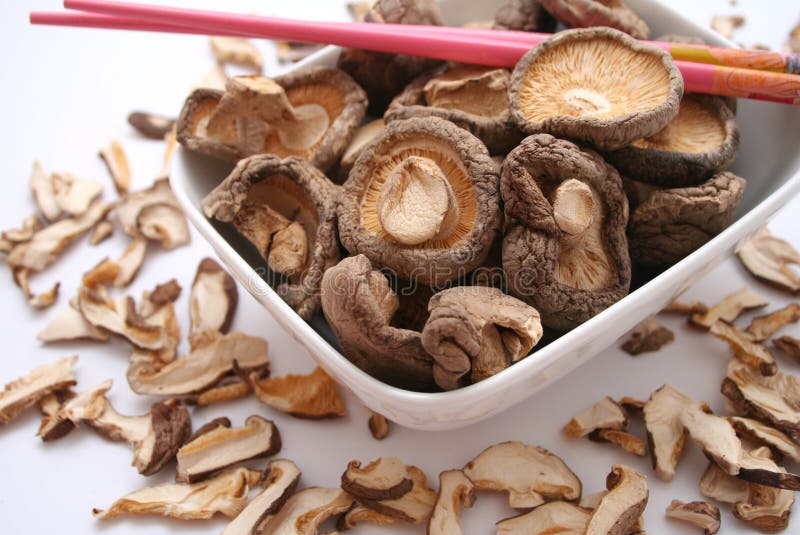 Shiitake mushrooms stock photo. Image of shiitake, preparing - 6252134