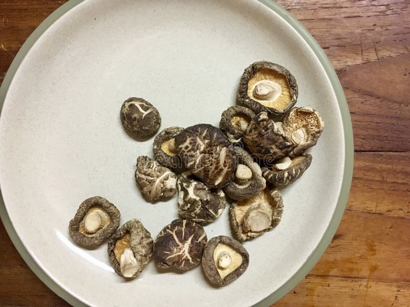 Shiitake stock photo. Image of marketminiature, agriculture - 98765478