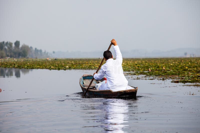 Shikara Boat at Manasbal Lake in Kashmir Stock Photo - Image of ...