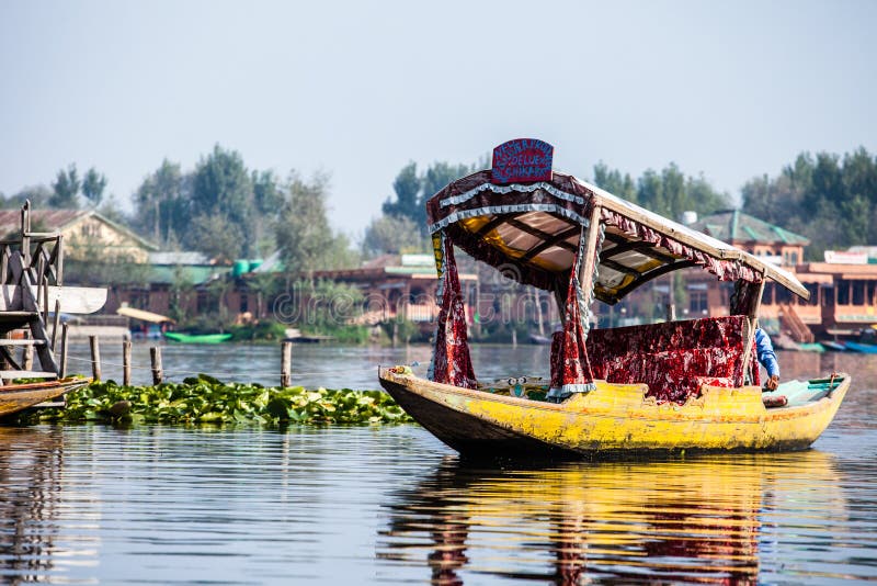 Shikara Boat in Dal Lake , Kashmir India Stock Image - Image of ...