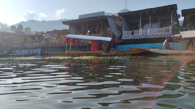Shikara in dal lake editorial stock image. Image of shikara - 348408189
