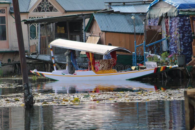 Shikara Ride on Dal Lake in Srinagar Kashmir Editorial Stock Photo ...