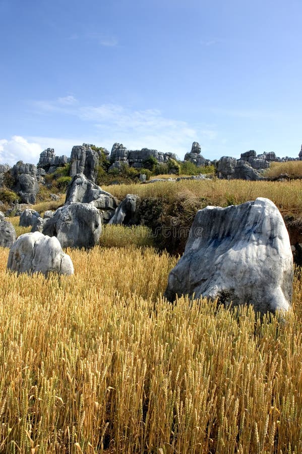 Shilin in china stock image. Image of health, land, blowing - 26926791