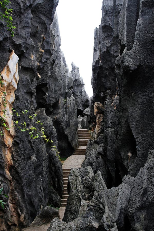 Shilin Stone Forest stock photo. Image of travel, sharp - 11715002