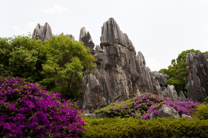 Shilin Stone Forest - Kunming - China Stock Photo - Image of land, park ...