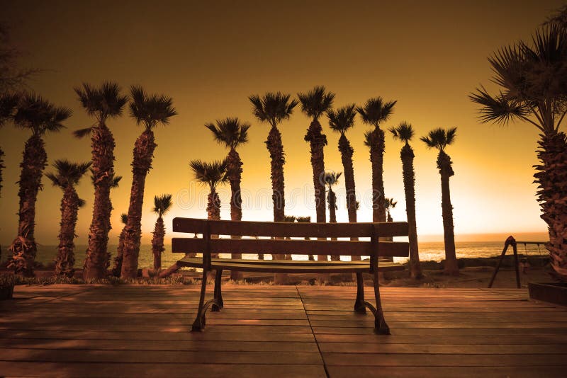 Shilouette of Park Bench at Sunset. Stock Image - Image of palm ...