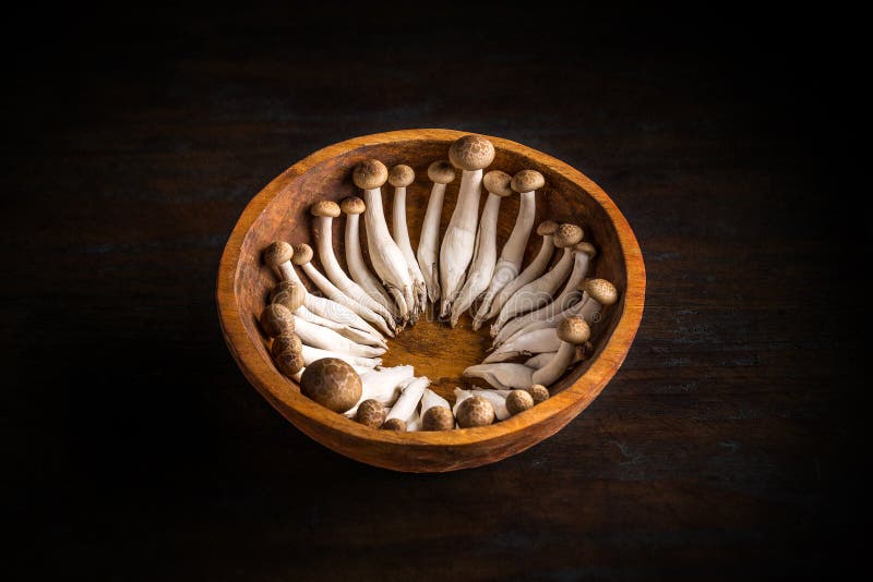 Shimeji imagem de stock. Imagem de grupo, cogumelo, fungos - 62302387