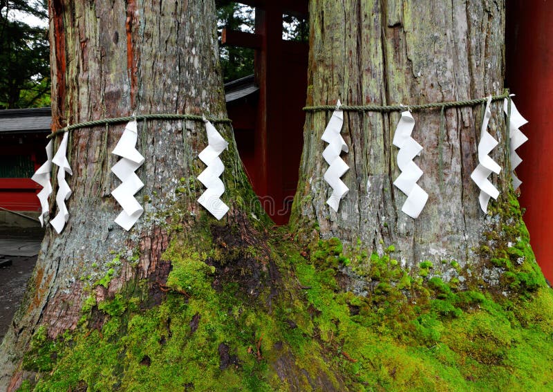 Shimenawa, Japanese Shinto Rope Stock Image - Image of straw, rope ...