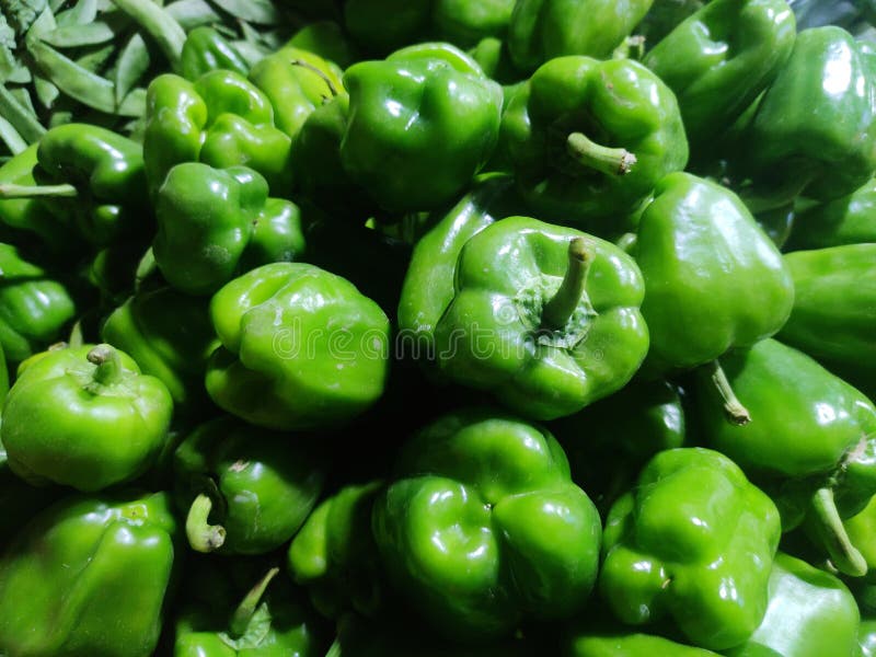 Shimla Mirch in Indian Vegetable Market Stock Image - Image of shimla ...