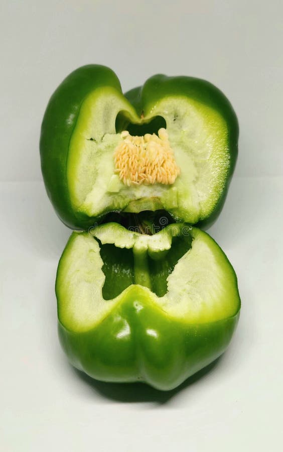 Shimla Mirch Showing Complete Inner Structure of Seeds. Excellent for ...