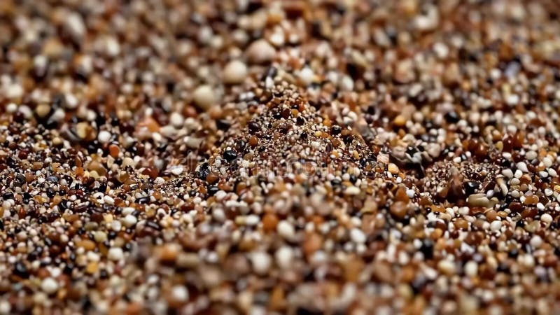 Shimmering Beach Sand Texture with Tiny Shell Fragments Stock Footage ...