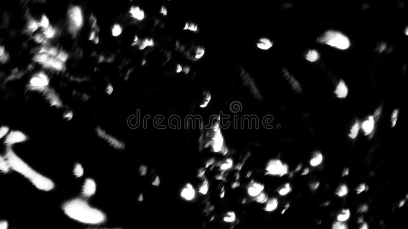 Shimmering White Highlights on Black Background. Motion. White ...